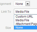 Setting the default WordPress image insert type to ‘None’
